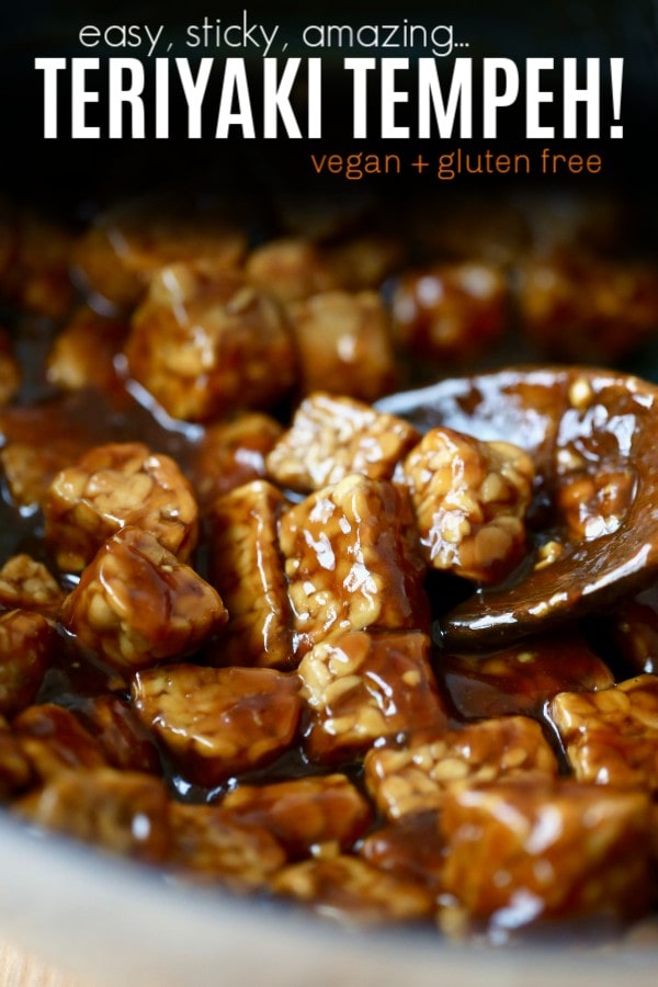 Easy Teriyaki Tempeh - The Conscientious Eater